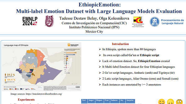 EthiopicEmotion: Multi-label Emotion Dataset with Large Language Models Evaluation | Underline