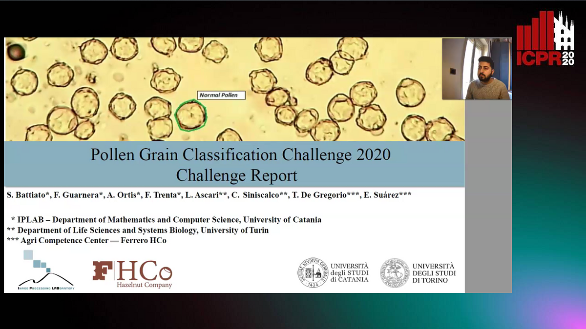 Underline | Pollen Grain Classification Challenge 2020 - Challenge Report