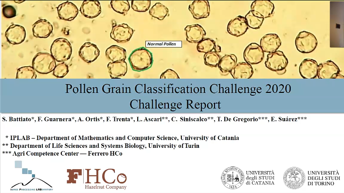 Underline | Introduction to the Pollen Grain Classification Challenge