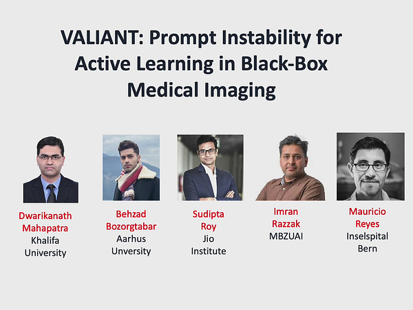 VALIANT: Prompt Instability for Active Learning in Black-Box Medical ...