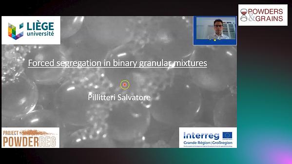 Underline | Forced segregation in binary granular mixtures