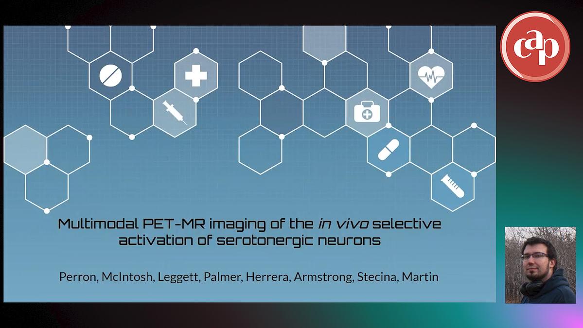 Underline | Multi-modal PET-MR imaging of the selective activation of ...
