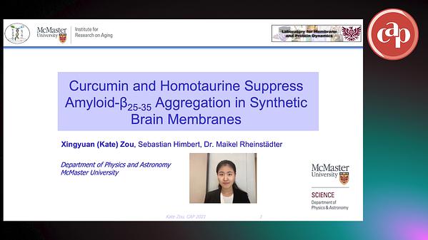 Underline | Curcumin and homotaurine suppress amyloid-b25-35 ...