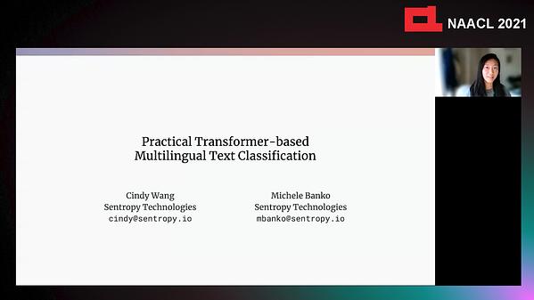 Practical Transformer-based Multilingual Text Classification | Underline