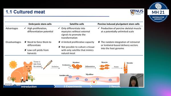 Electrospray of plant based hydrogel microbeads for lab-based meat ...