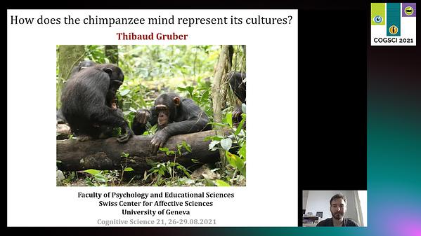Underline | How does the Chimpanzee Mind Represent its Cultures?