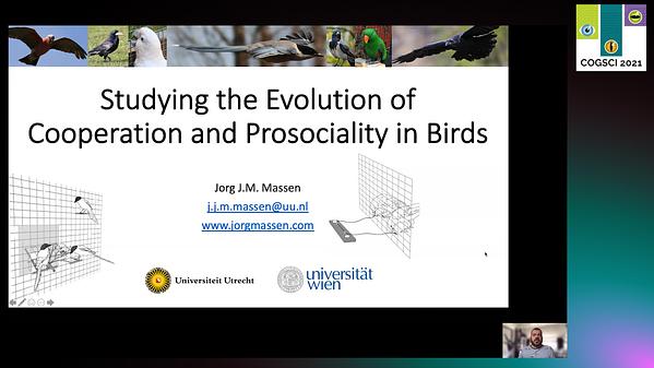 Underline | Studying the Evolution of Cooperation and Prosociality in Birds