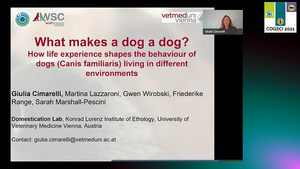 Underline | What makes a dog a dog? How life experience shapes the ...