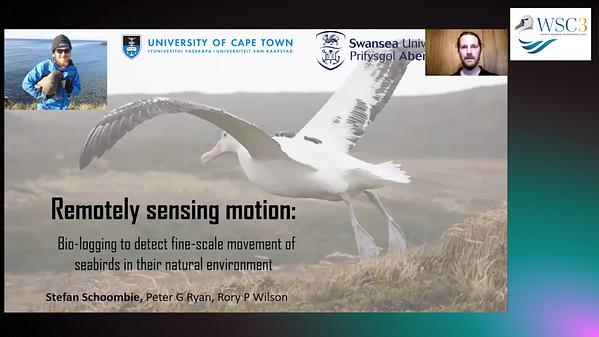 Underline | Fine-scale flight: the effect of wind on flight patterns of ...