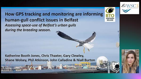 How GPS tracking and monitoring are informing human-gull conflict ...