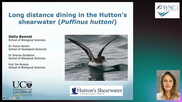 Della Bennet | Underline