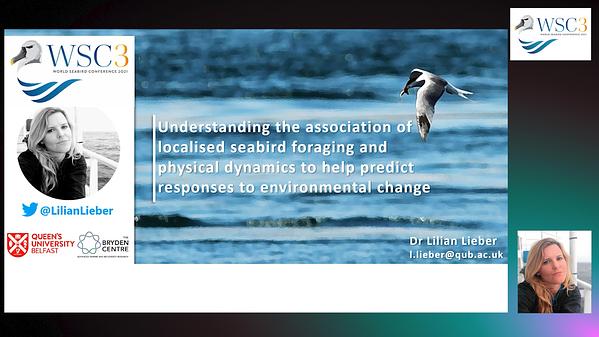 Understanding the association of localised seabird foraging and ...