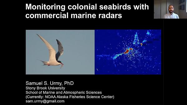 Monitoring colonial seabirds with commercial marine radars | Underline
