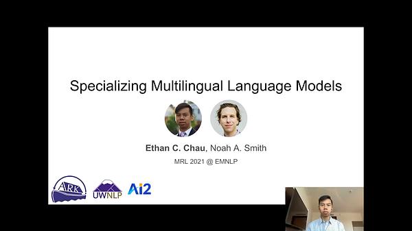 Specializing Multilingual Language Models: An Empirical Study | Underline