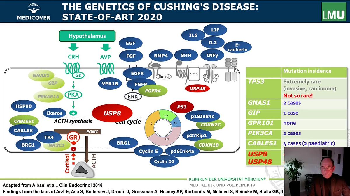 Underline | Genetics of Cushing's Disease