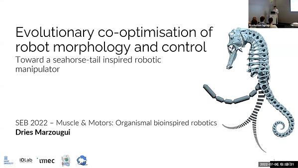 Evolutionary co-optimisation of robot morphology and control: toward a ...