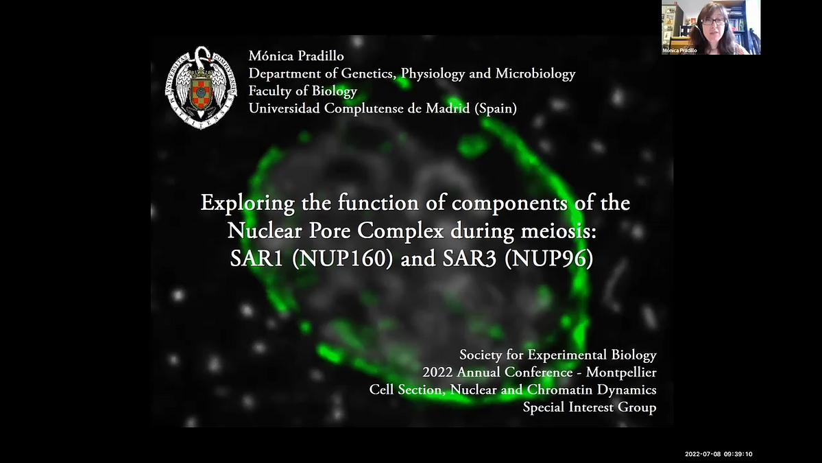 Underline | Exploring the function of components of the Nuclear Pore ...