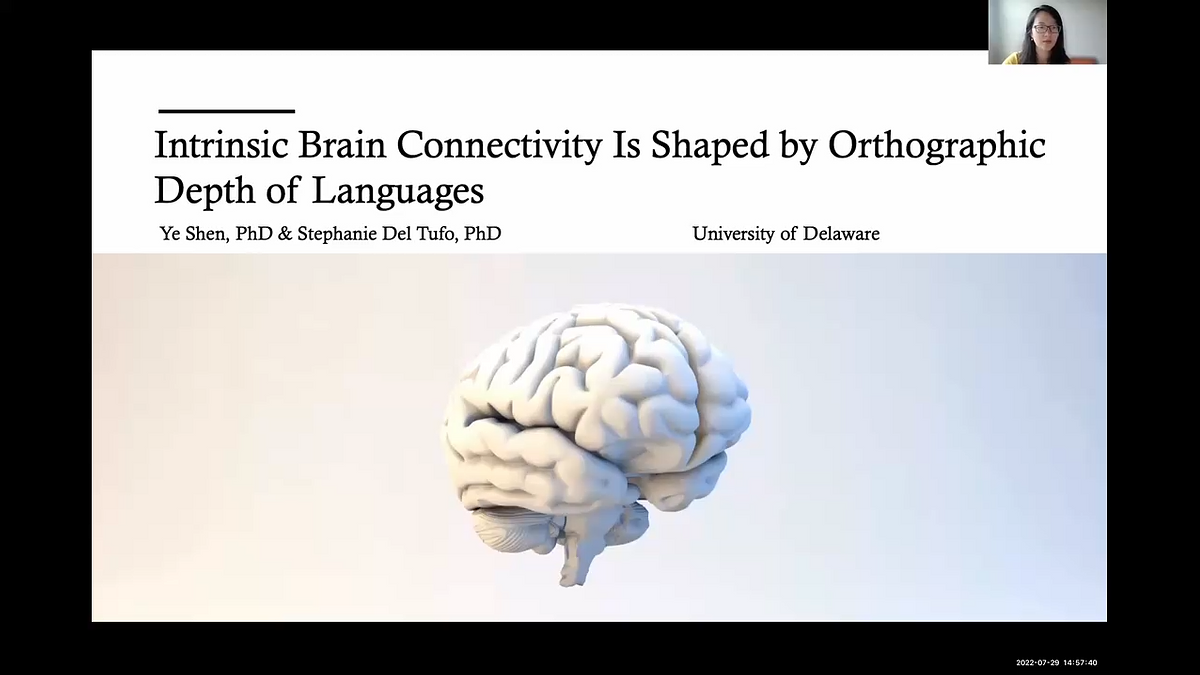Underline | Functional Connectivity Differences between Trilinguals and ...