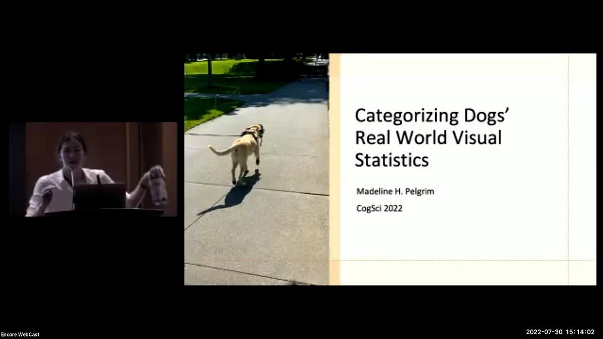 Underline | Categorizing Dogs’ Real World Visual Statistics