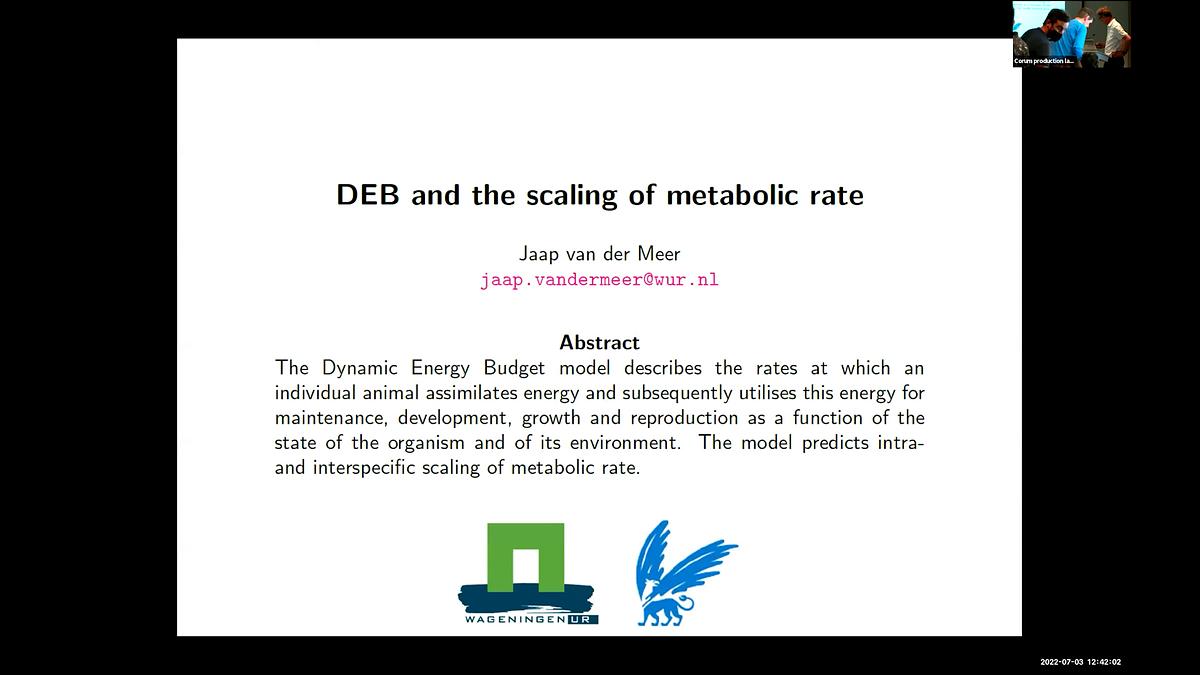 Underline | The scaling of metabolic rate: a comparison between ...