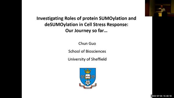 Investigating the Roles of protein SUMOylation and deSUMOylation in ...