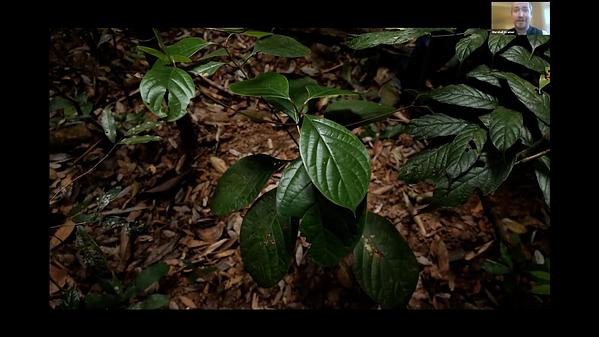 Underline | Reclaiming Invisible Environmental Labor: Intersectionality ...