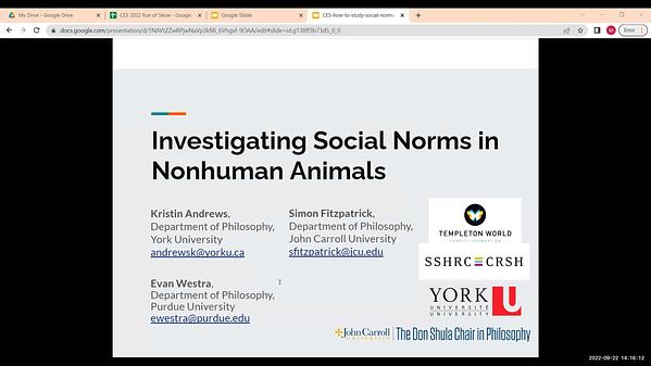 Underline | Investigating social norms in nonhuman animals Underline | Investigating social norms in nonhuman animals