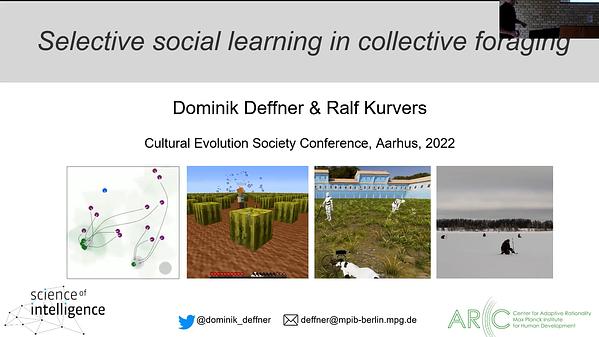 Underline | Selective social learning in collective foraging