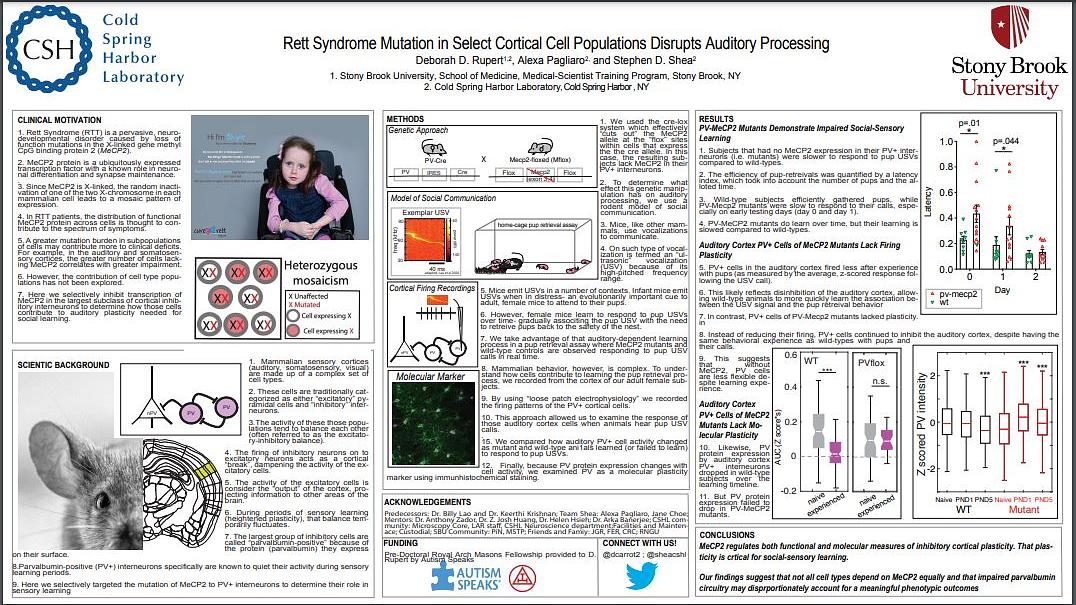 Underline Rett Syndrome Mutation In Select Cortical Cell Populations Disrupts Auditory Processing