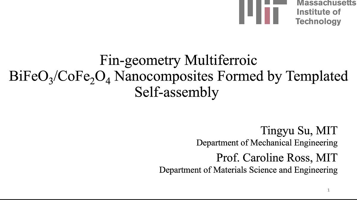 Underline | Fin geometry Multiferroic BiFeO3/CoFe2O4 Nanocomposites ...