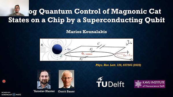 Analog Quantum Control Of Magnonic Cat States On A Underline
