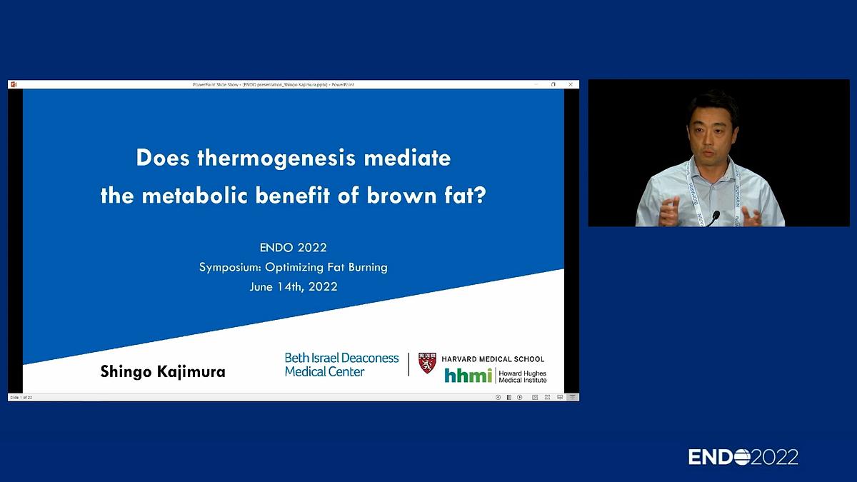 Underline | Optimizing Fat Burning - Non-Canonical Mechanisms of ... Underline | Optimizing Fat Burning - Non-Canonical Mechanisms of ...
