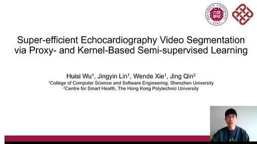 Underline | Super-efficient Echocardiography Video Segmentation via Proxy- and Kernel-Based Semi ...