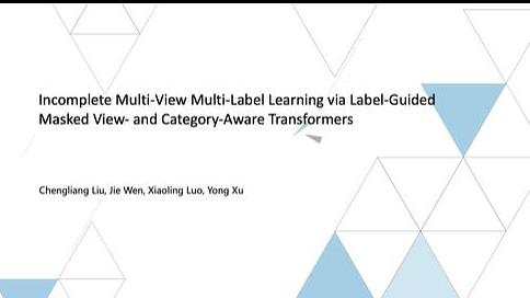 Underline | Incomplete Multi-View Multi-Label Learning via Label-Guided Masked View- and ...