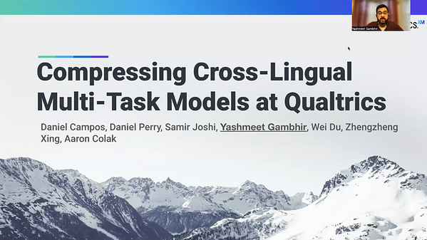 Scaling up multilingual text classification on experience data with compressed language models ...