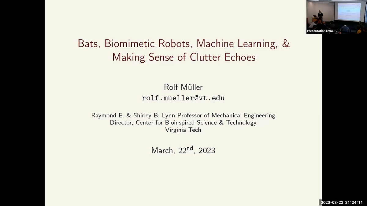 Underline | Bats, Biomimetic Robots, Machine Learning, and Making Sense of Clutter Echoes