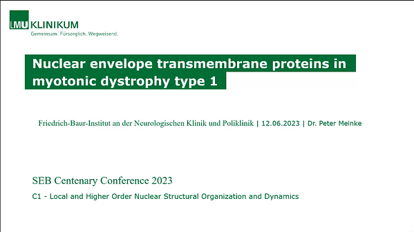 Underline | Nuclear envelope transmembrane proteins involved in genome ...