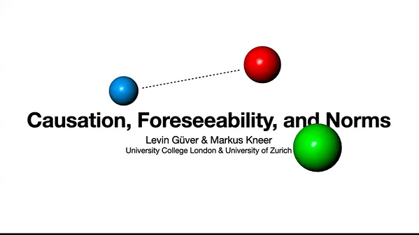 Underline | Causation, Foreseeability, and Norms