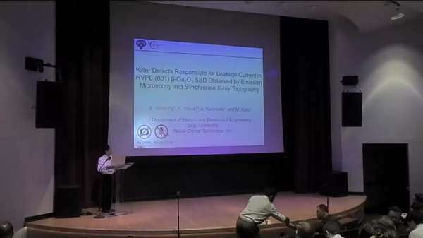 Killer Defects Responsible for Leakage Current in HVPE (001) β-Ga2O3 ...