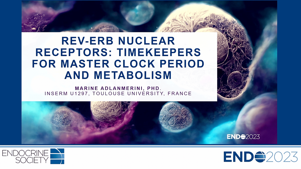 Underline | Timing is Everything: How Nuclear Receptors Function as Clocks - REV-ERB Nuclear ...