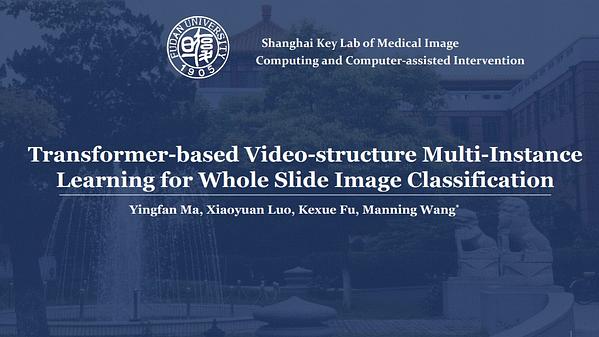 Underline | Transformer-Based Video-Structure Multi-Instance Learning for Whole Slide Image ...