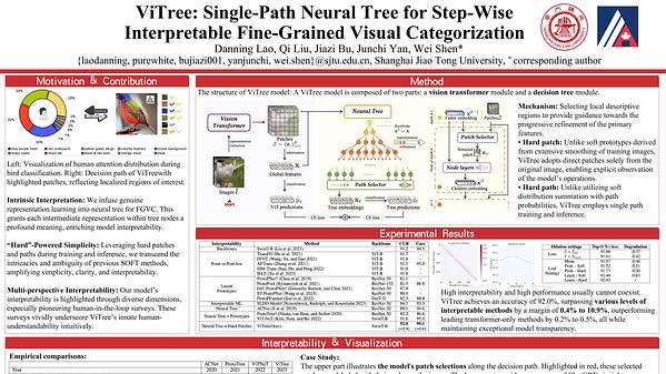 Vitree Single Path Neural Tree For Step Wise Interpretable Fine Grained Visual Categorization