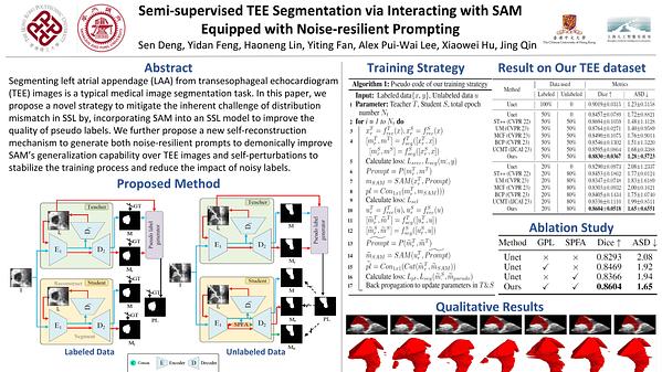 Semi-supervised TEE Segmentation via Interacting with SAM Equipped with Noise-Resilient ...