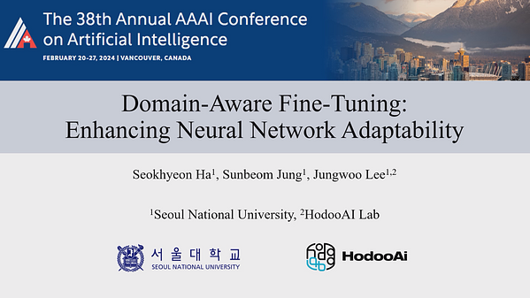 Underline | Domain-Aware Fine-Tuning: Enhancing Neural Network Adaptability | VIDEO
