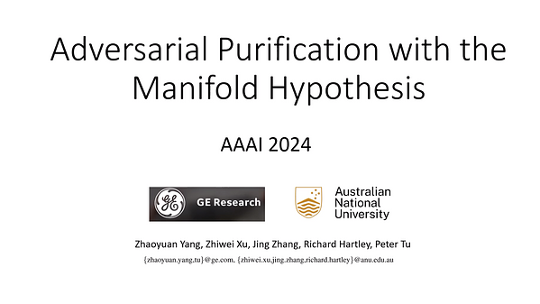 Adversarial Purification with the Manifold Hypothesis | Underline