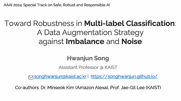 Underline | Toward Robustness in Multi-Label Classification: A Data Augmentation Strategy ...