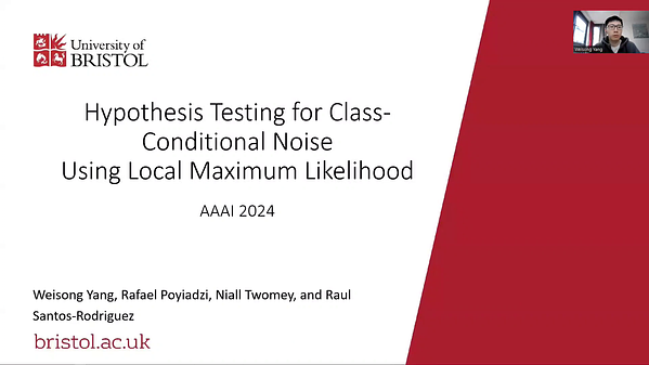 Underline Hypothesis Testing For Class Conditional Noise Using Local Maximum Likelihood