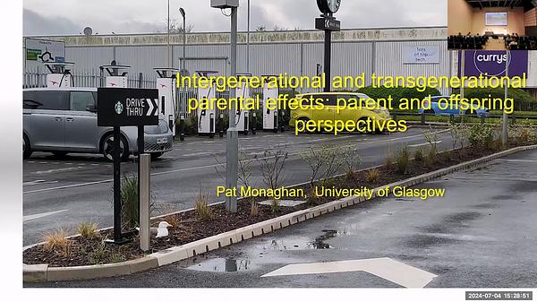 Underline | Intergenerational and transgenerational parental effects ...