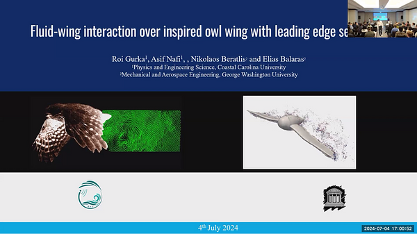 Fluid-wing interaction over inspired owl wing with leading edge ...