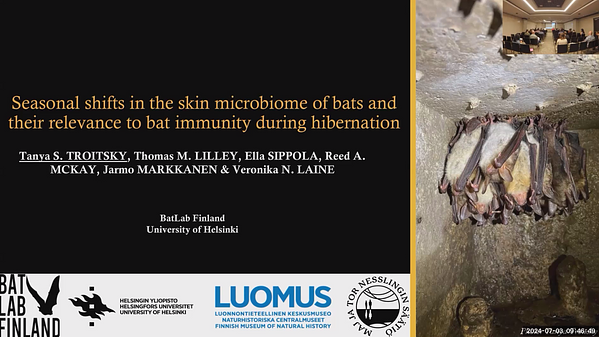 Seasonal shifts in the skin microbiome of bats and their relevance to ...